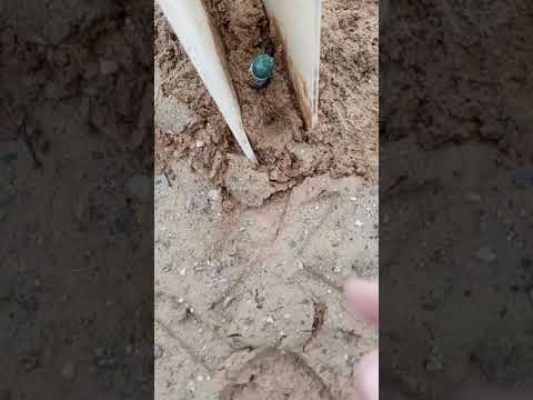 Ev yapımı bomba(Make your own torpedo at home)