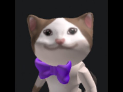 Boss Cat Plays Roblox Color Run - @Assetingballz exploiting - YouTube