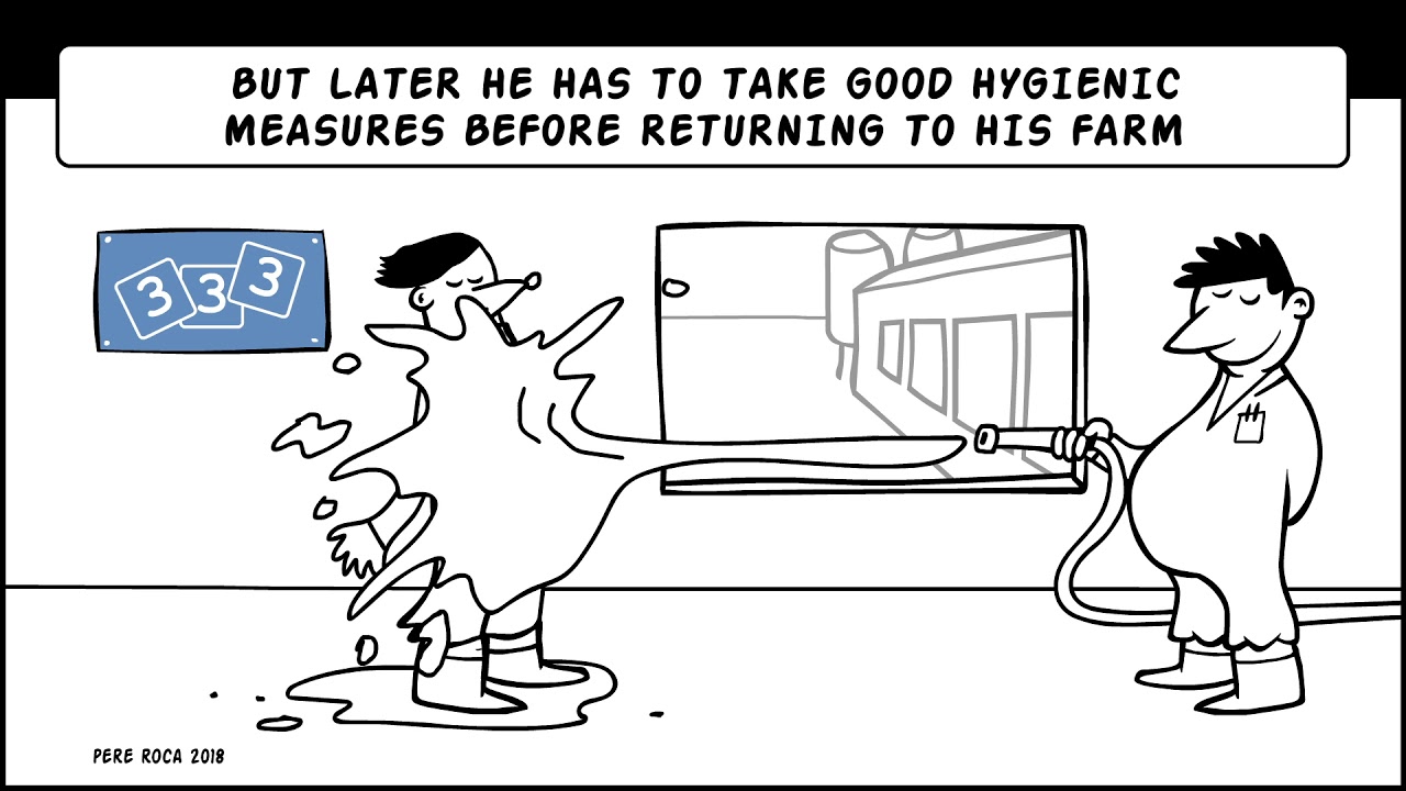 Biosecurity against ASF - YouTube