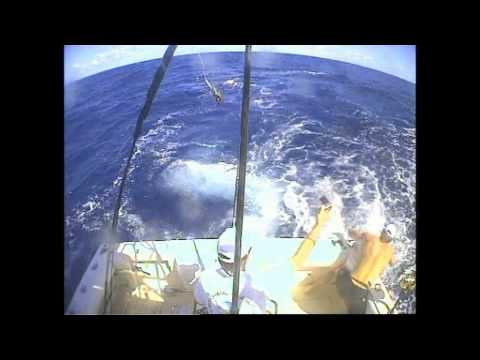 Blue Marlin Classic Larva Lures Champion Boat 2nd place - Gold Coast ...