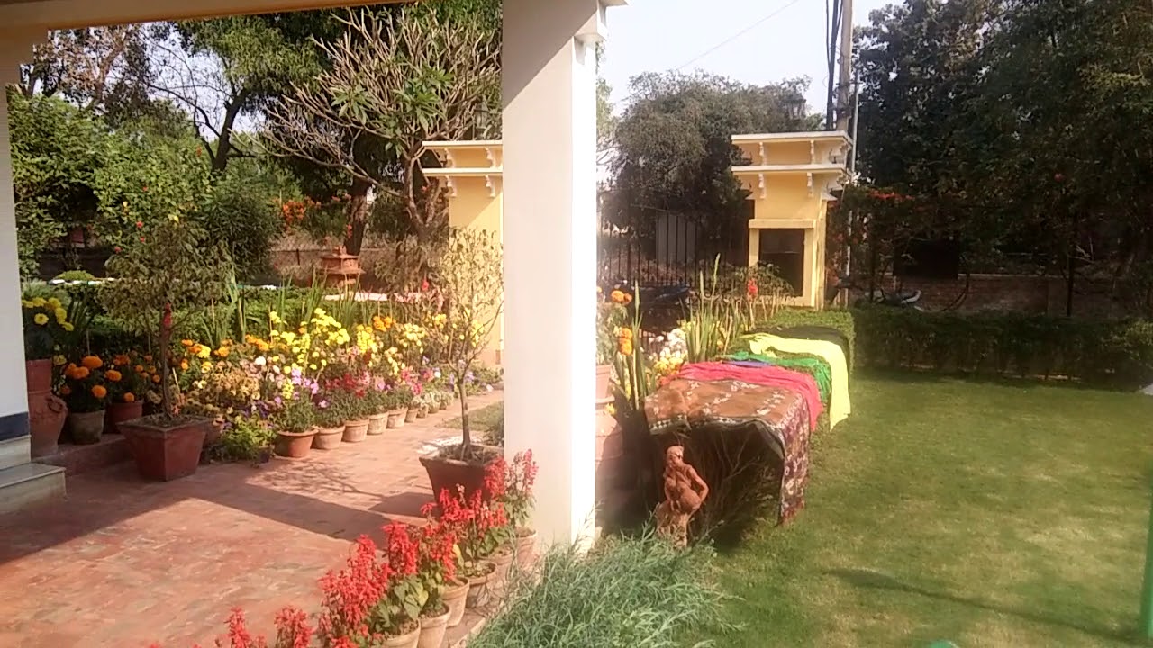 Garden overview - YouTube