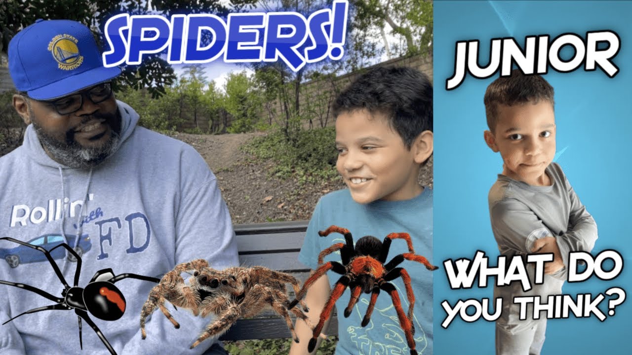 SPIDERS! - Junior, What Do You Think? - YouTube