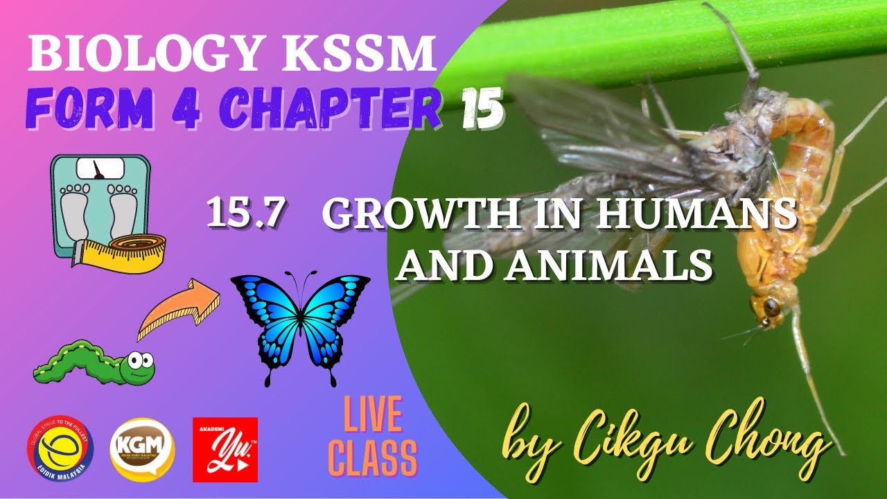 15.7 GROWTH IN HUMANS AND ANIMALS - YouTube