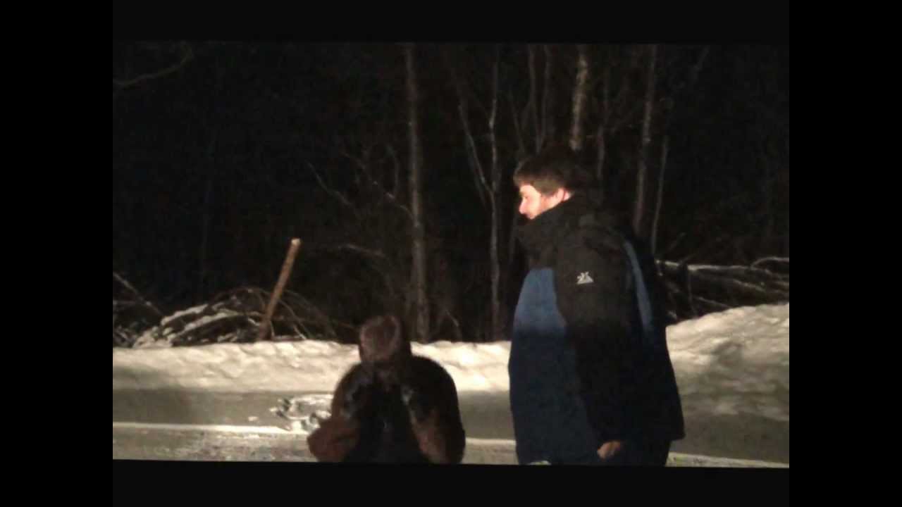 The Stud: Movie Trailer - YouTube