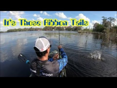 Shallow Fishing At Lake Bryan - YouTube