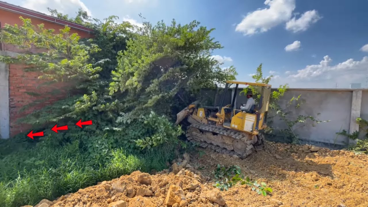 Techniques of removal trees use bulldozer D21P - YouTube