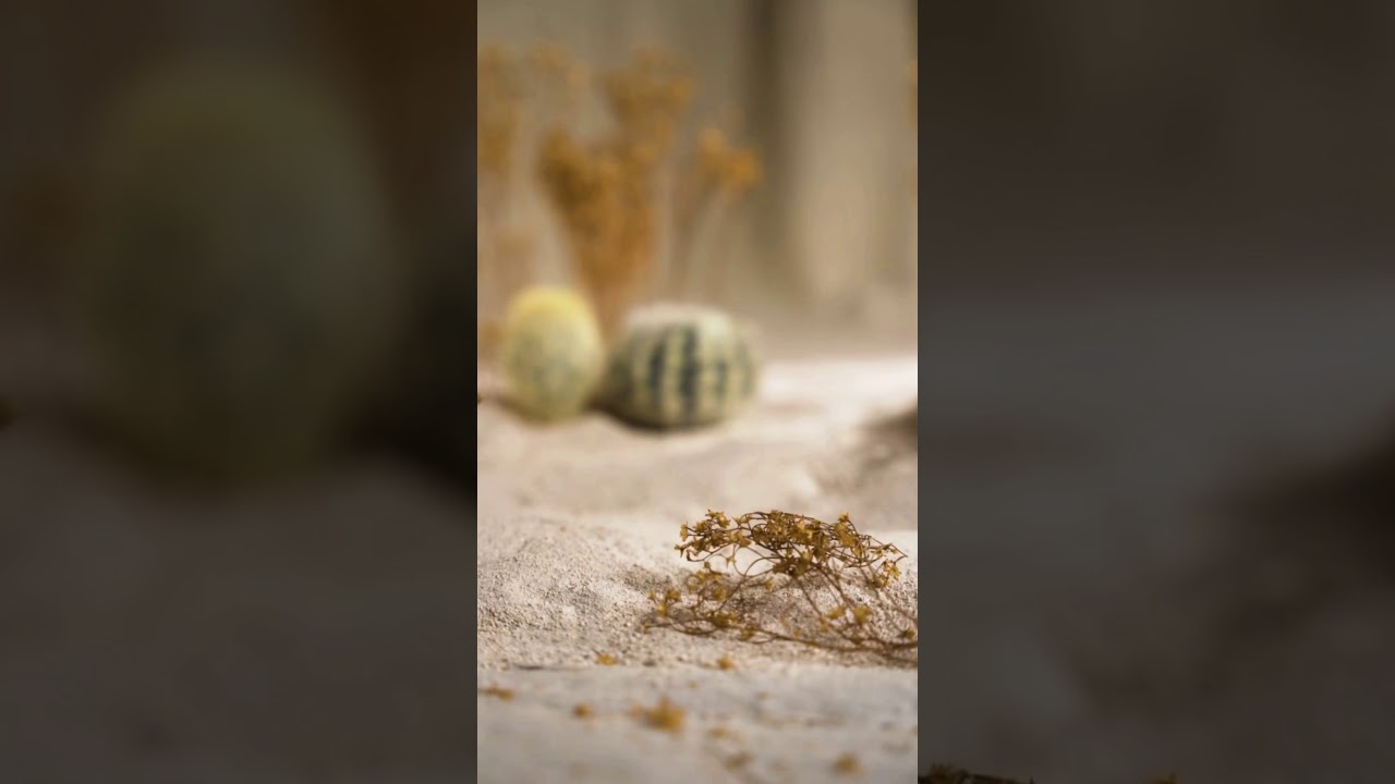 Set in Stone - Color Street Collection - YouTube