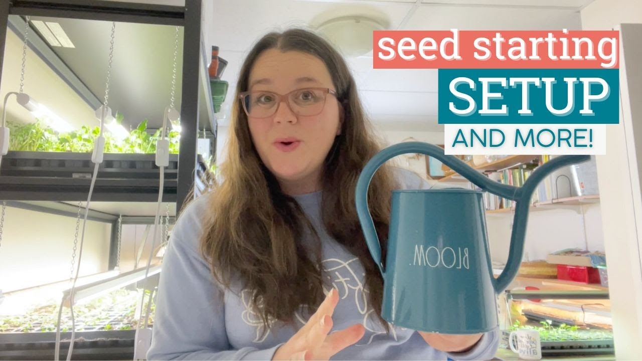 Seed Starting Setup, Dahlia Cuttings, and Bumping Up Seedlings - YouTube