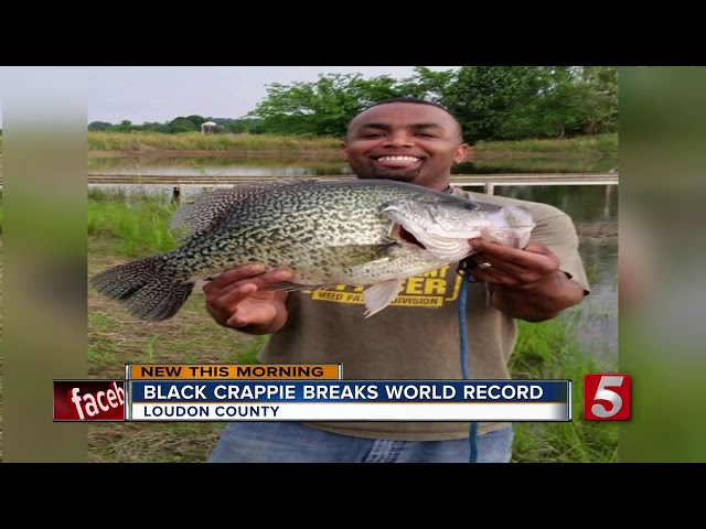 World Record Crappie The Biggest Crappie Ever Caught