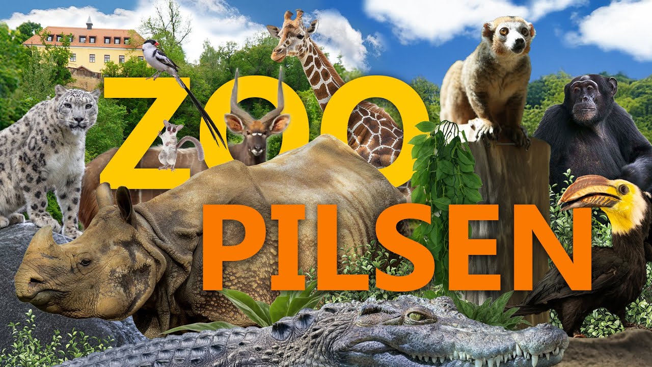 Zoo Pilsen - Was taugt der artenreichste Zoo der Welt? | Zoo-Eindruck ...