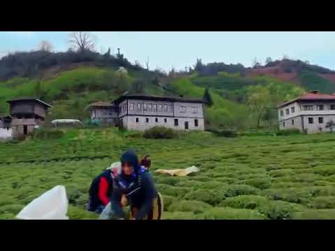 YENİ ZİRAAT BANKASI REKLAM ŞARKISI -Vazgeç o zaman- Yener Çevik- Tüyleri diken diken eden şarkı