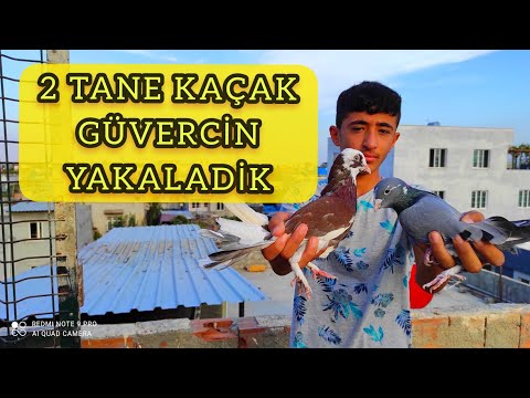 2 TANE KAÇAK YAKALADİK ( KÜÇÜK CMBAZ )