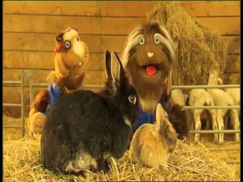 Tickle and Patch in Fascinating Facts - Lots - YouTube