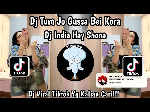 DJ INDIA HEY SHONA || DJ TUM JO GUSSA BHI KARO || DJ VIRAL TIKTOK YANG KALIAN CARI...  