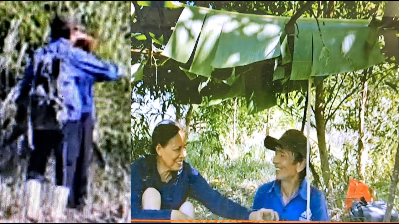 Survived by building a simple tent and working for a living |ThungHoang ...