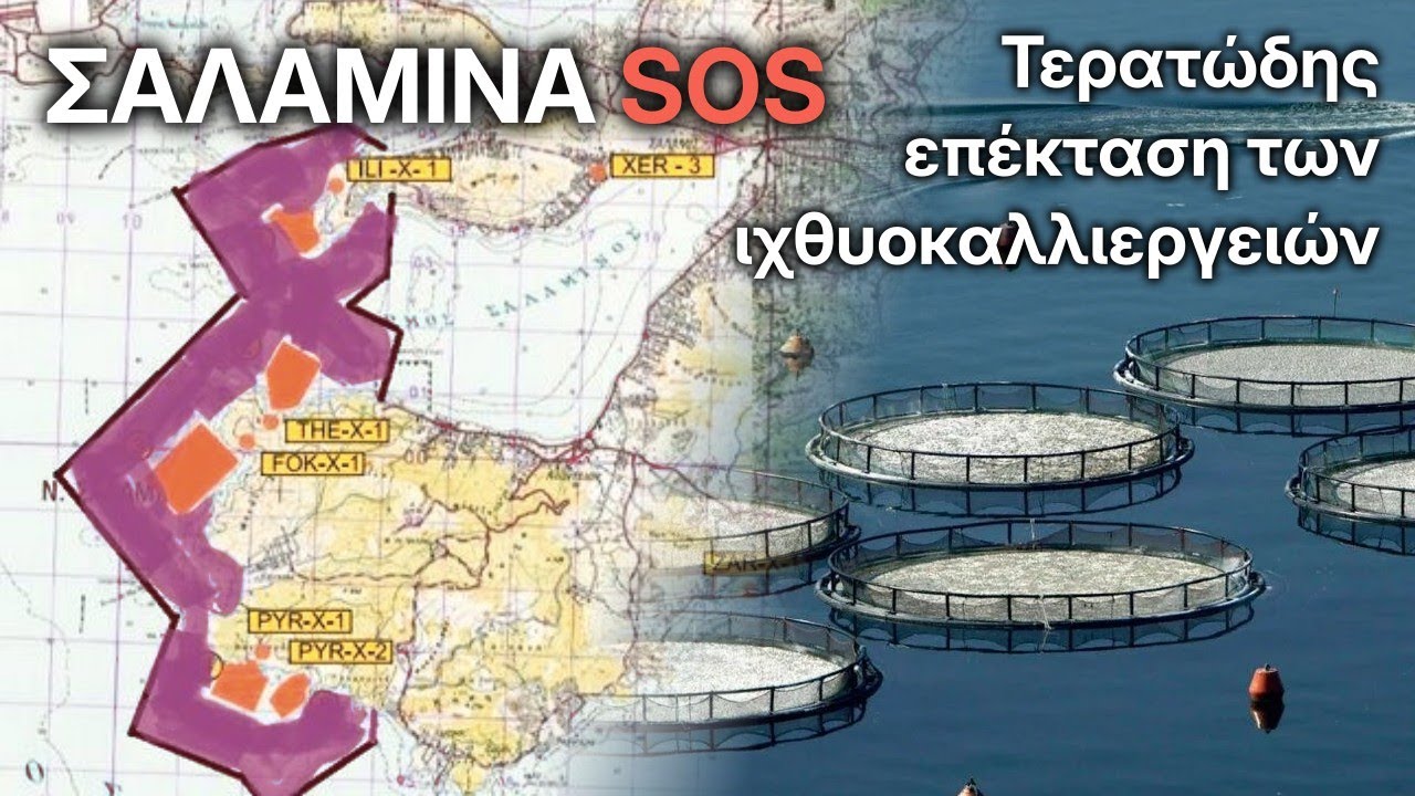 ΣΑΛΑΜΙΝΑ SOS - Τερατώδης Επέκταση των Ιχθυοκαλλιεργειών - YouTube
