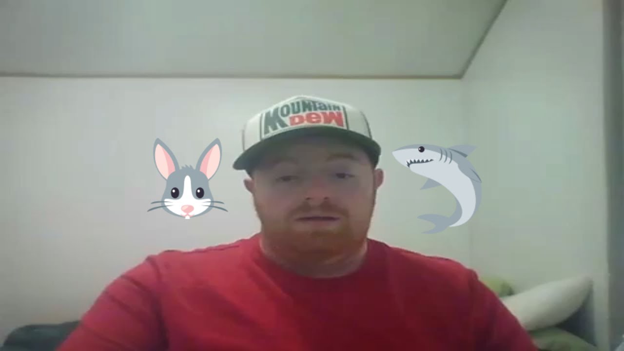 Random fact about rabbits you never thought of. #randomfacts - YouTube