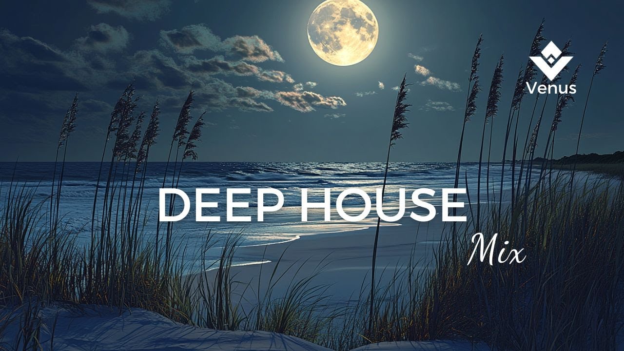 Relaxing Rhythm 2024 🌟: Best Chill House Music Collection | Mix By DL ...