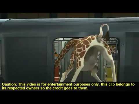 Madagascar: Grand central station scene