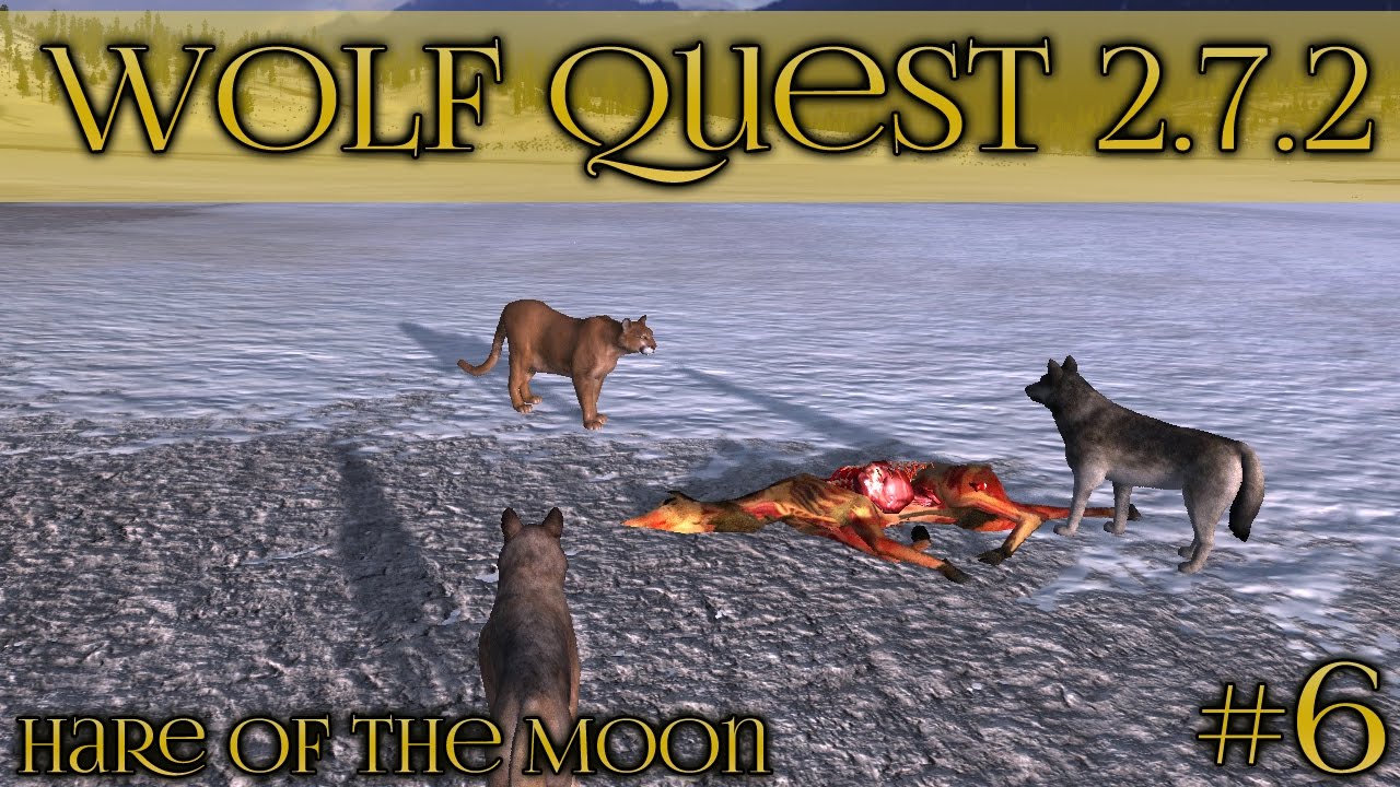 Facing Off Against a Cougar!! 🐺 Wolf Quest 2.7.2 - Hare of the Moon ...