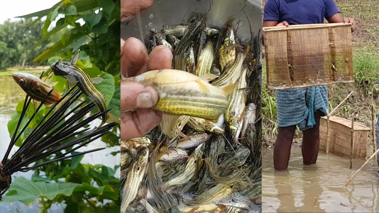 Oldest Traditional Fishing System Full Process LIVE - YouTube