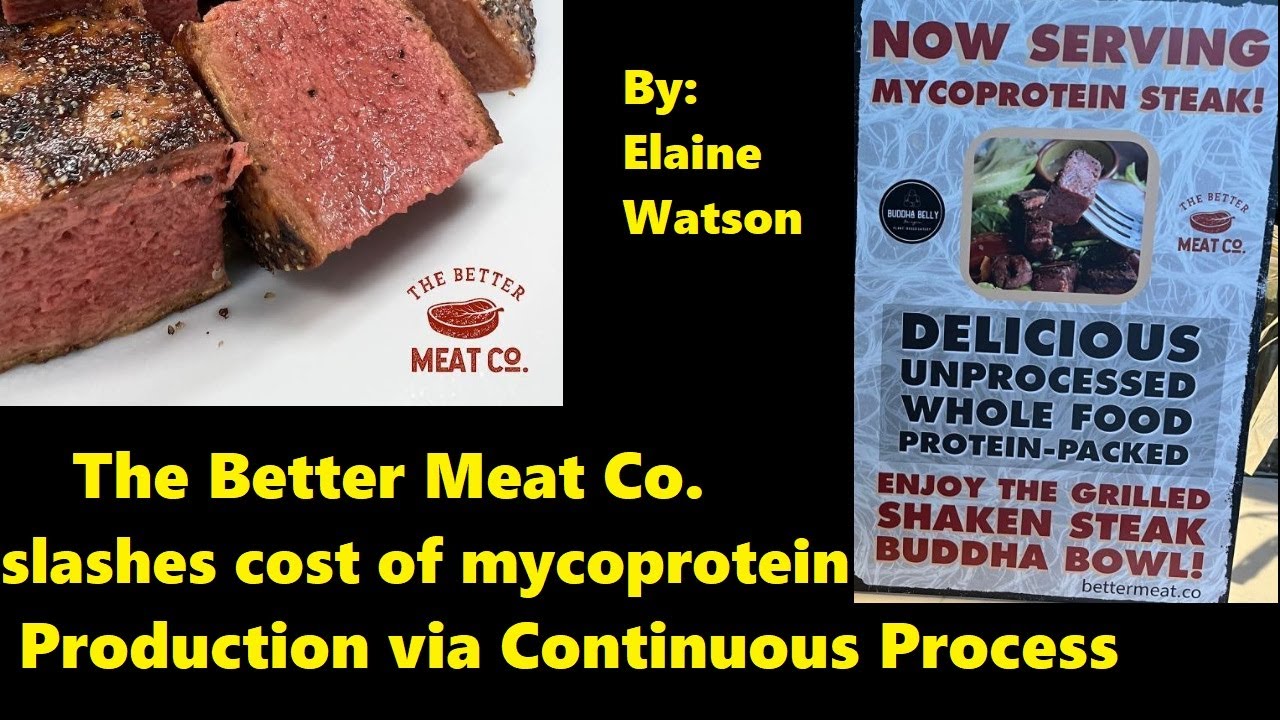The Better Meat Co slashes cost of mycoprotein production via ...