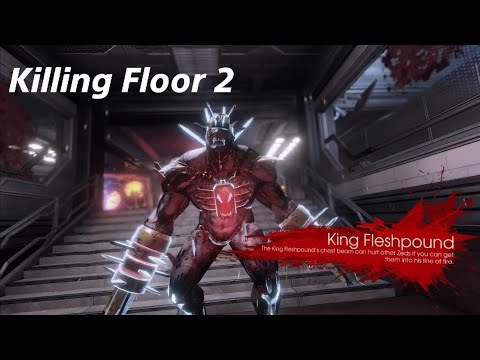King Fleshpound Boss Battle | Killing Floor 2 PS5