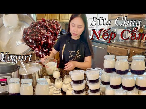 Yogurt Da Ua Sữa Chua Nếp Cẩm Bằng Nồi Instant Pot, Thành Công Ngay Lần Đầu Mềm Dẻo Mịn Thơm Ngon
