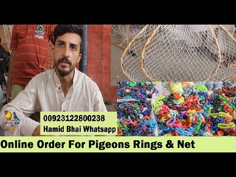 Pigeons Rings And Pigeons Catching Net Sale in Pakistan - YouTube