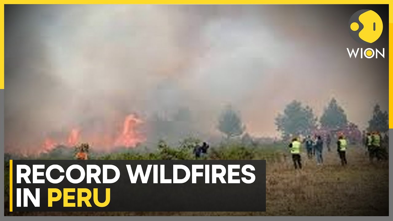 Wildfires Ravage Peru's Ecosystems & Wildlife | World News | Latest ...