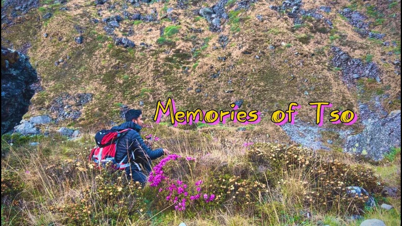 Memories of Tso | Random Shots | Tso Rolpa Trek - YouTube