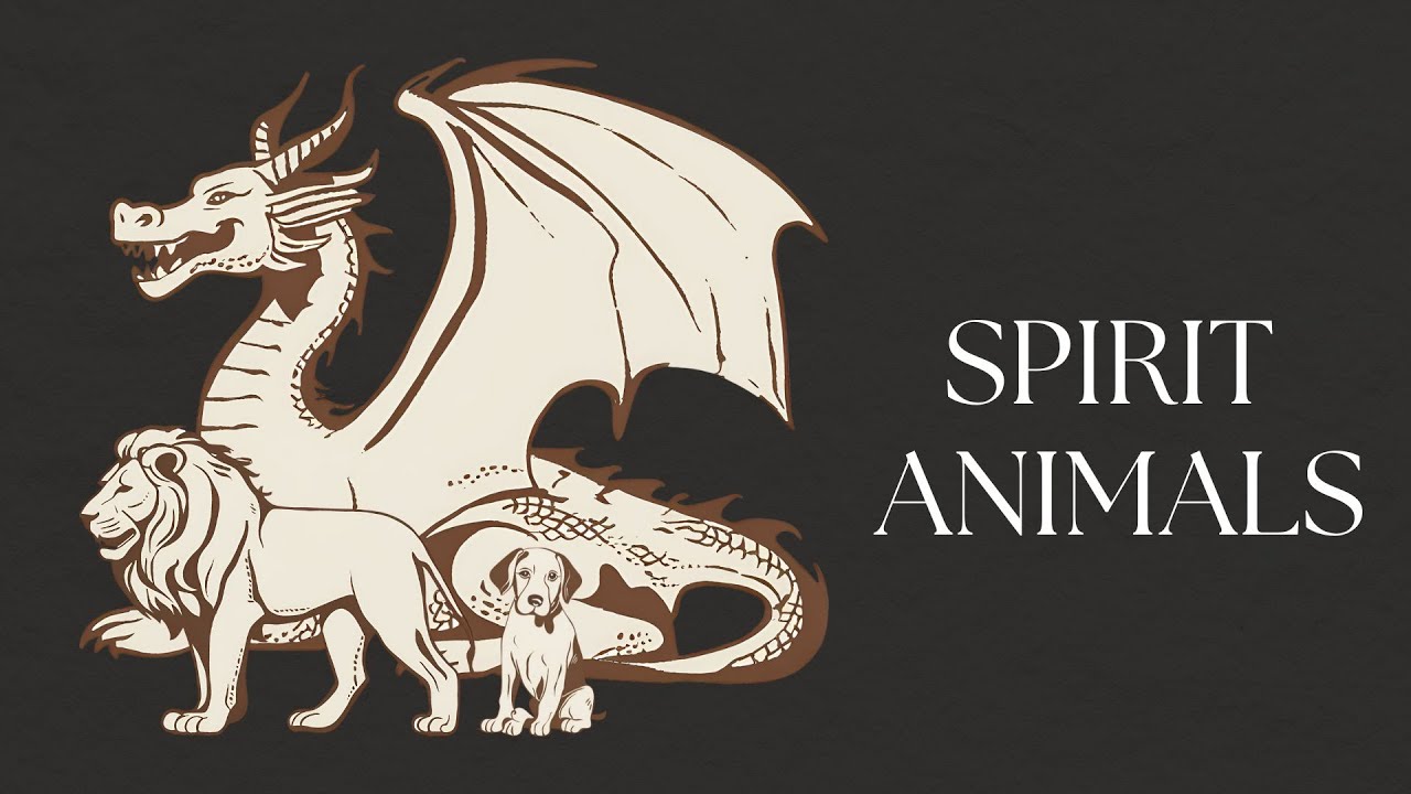 The 3 types of Spirit Animals! - YouTube