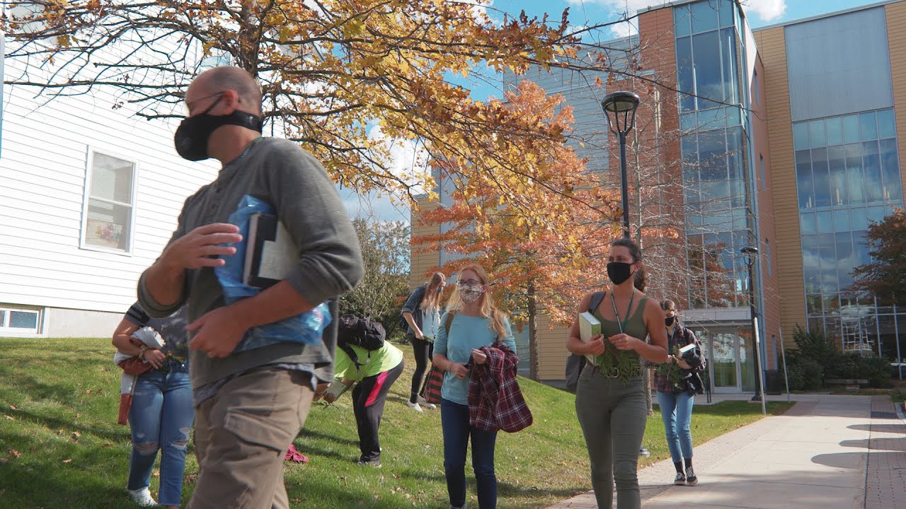 Welcome to MCLA - YouTube