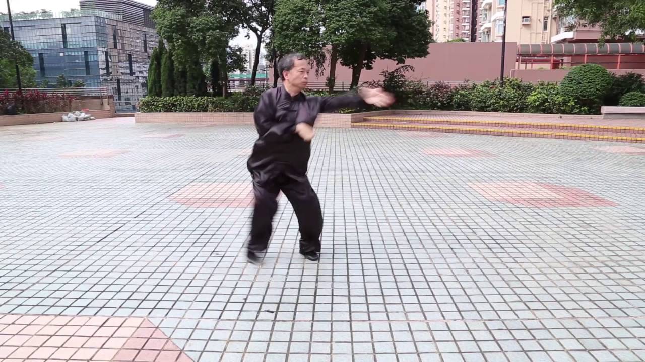 鷹爪翻子門：連拳第二十一路：叼手閃步掌（Eagle Claw: Lin Kuen, 21st section: Diu Sau Sim Bou ...