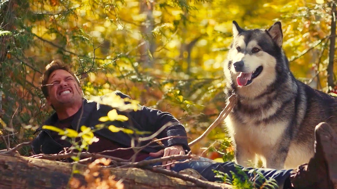 Saviour Dog | Against The Wild 3 movie scenes | Hollywood movies in ...