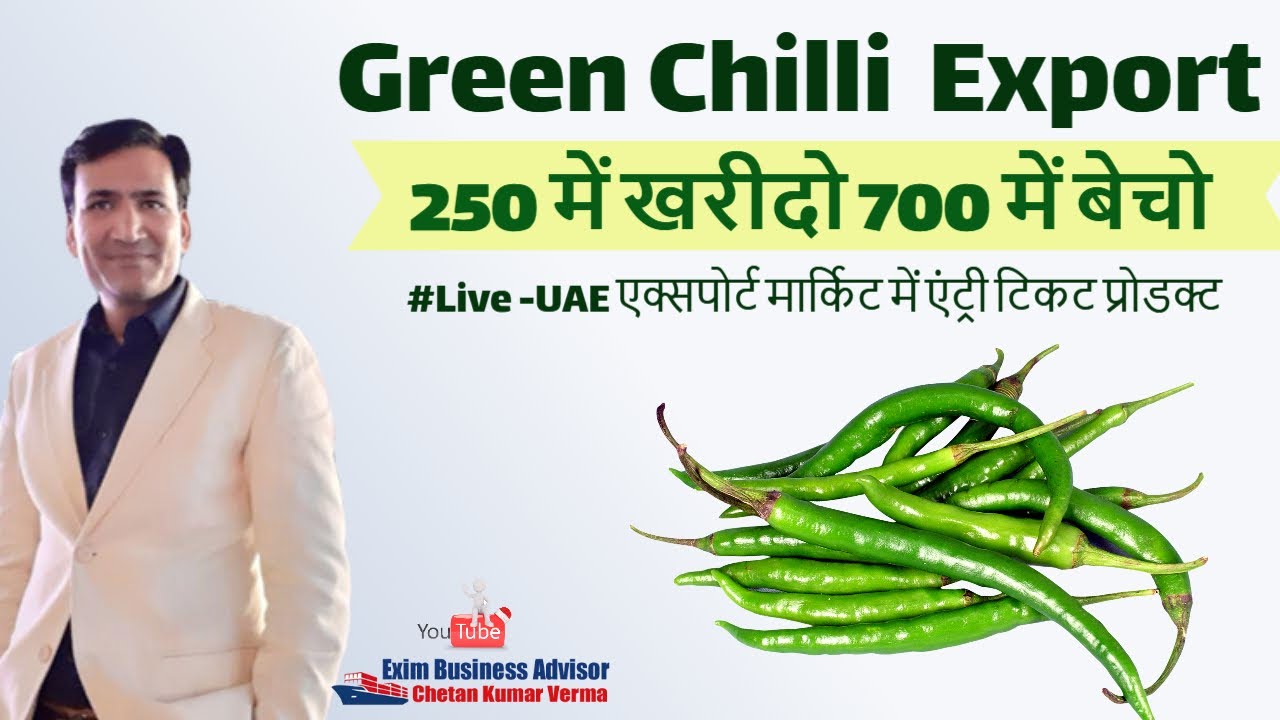 Green Chilli Export To Dubai From India | Green Chilly Dubai Export ...
