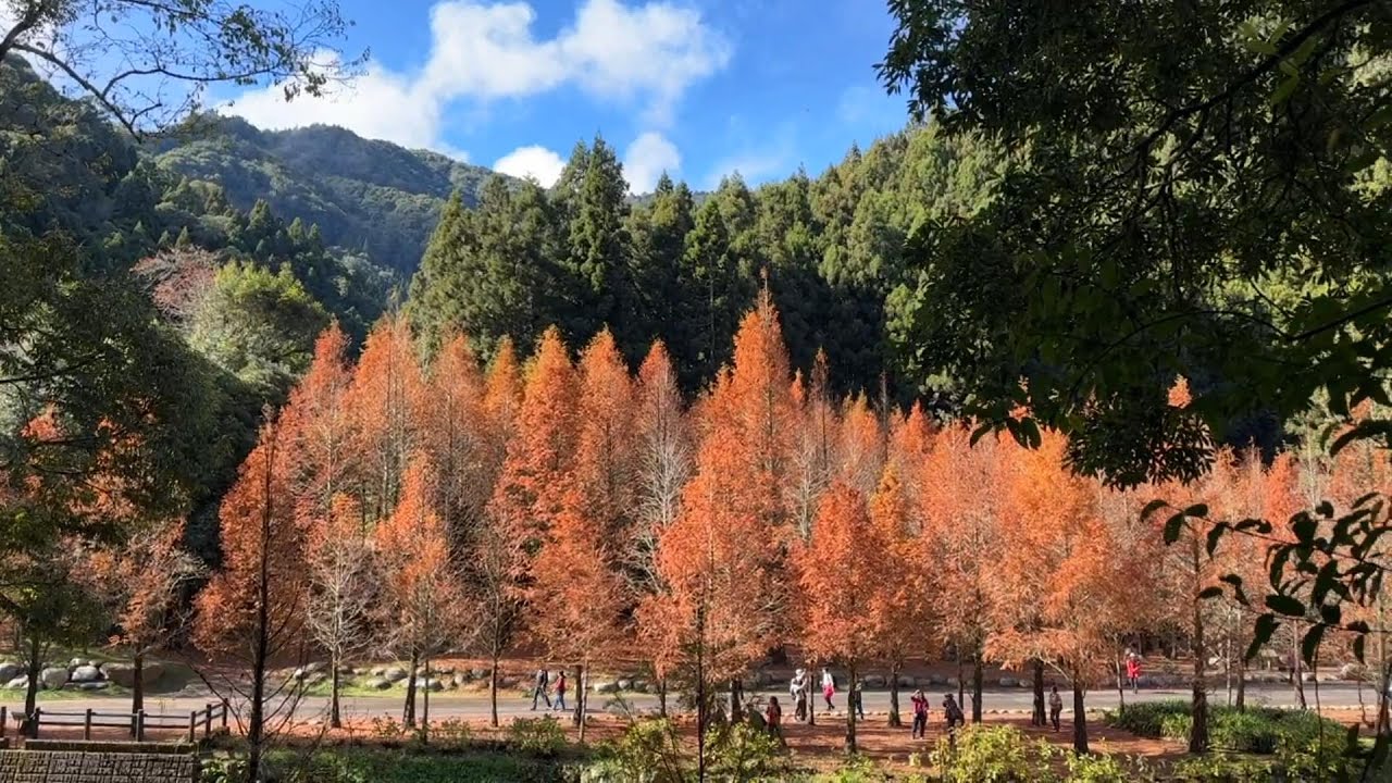 The Sun Link Sea (杉林溪) Forest Recreation Area in Taiwan - YouTube