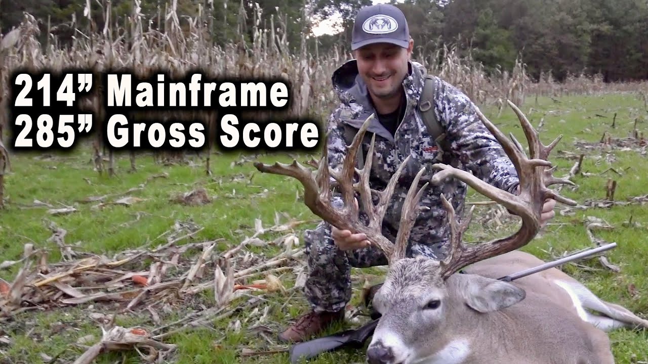 214" Typical Frame Whitetail Deer | Monster Buck Hunt - YouTube