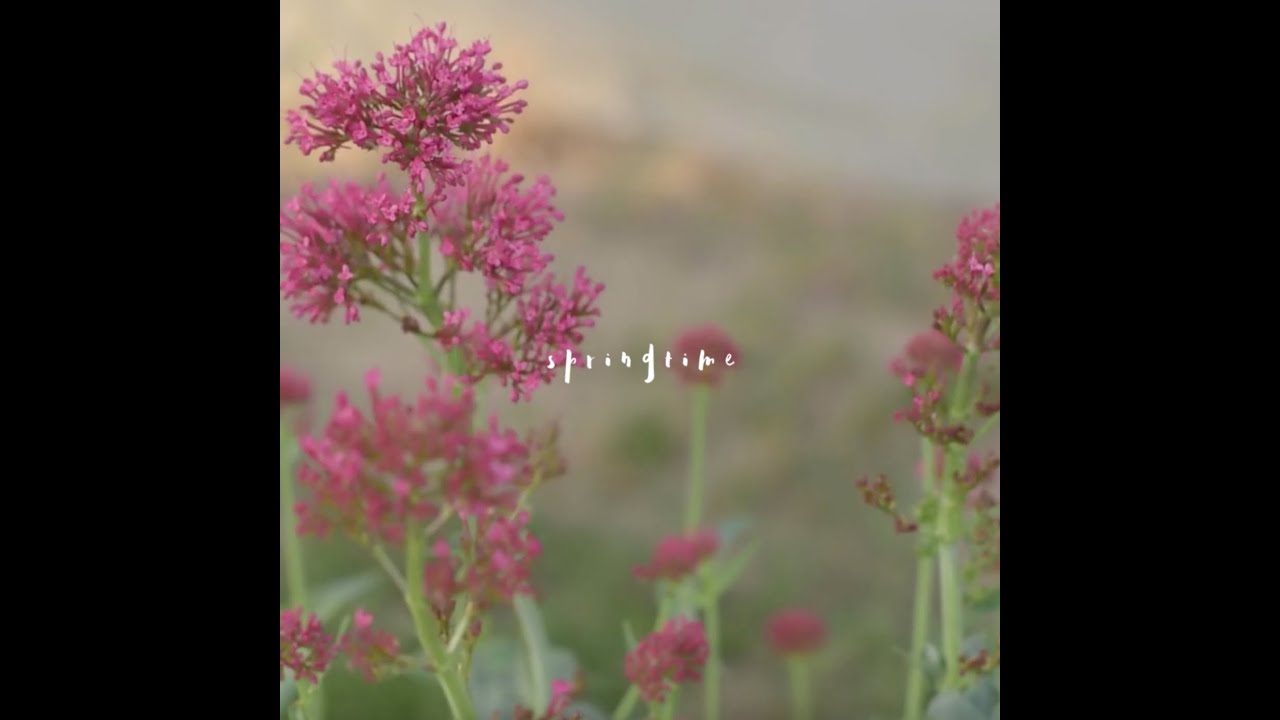 Springtime (Chris Renzema) - Rhian - YouTube