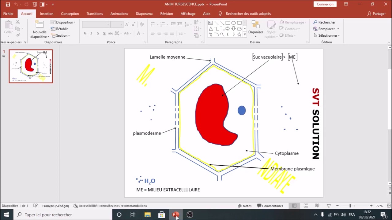 (Niveau 1ère)plasmodesme-lamelle moyenne-osmose-turgescence - YouTube