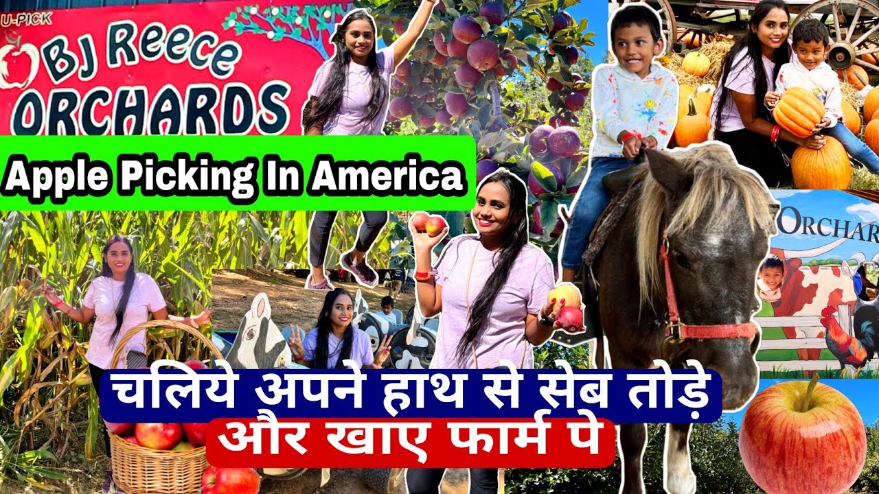 Apple Picking Experience In America|B.J Reece Orchard |Lot of fun ...