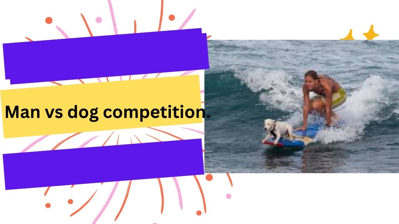 Man vs dog competition |funny videos#Mr.Bhandari official#shorts - YouTube