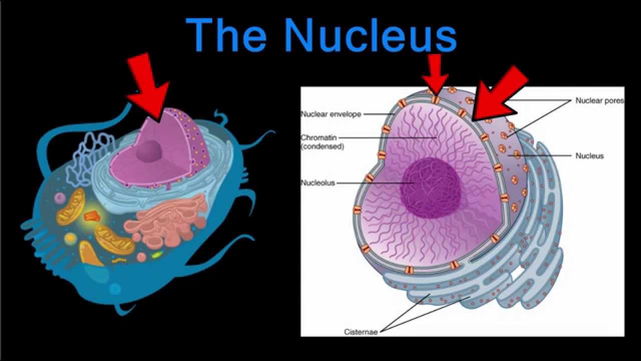 The City’s Government Building and Control Center – The Nucleus - YouTube