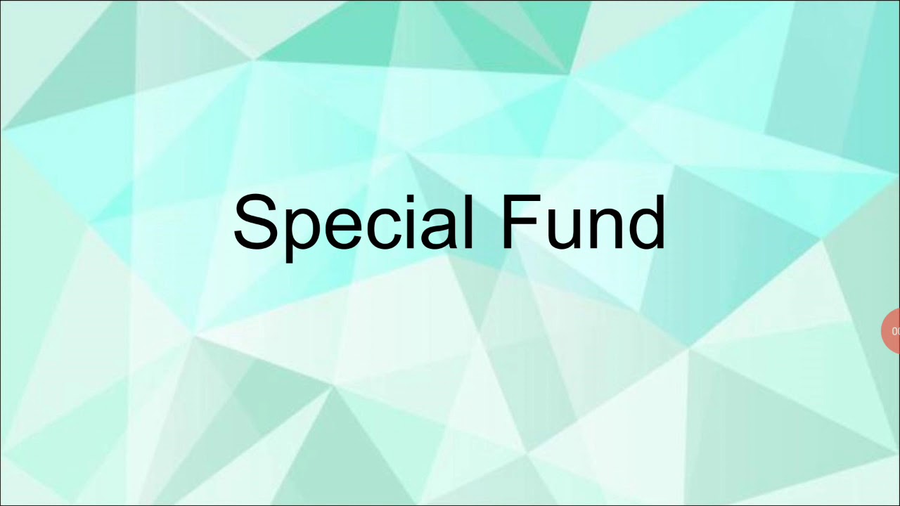 Plus 2 Special Fund & Expenditure Stock Item Accounting Treatment - YouTube