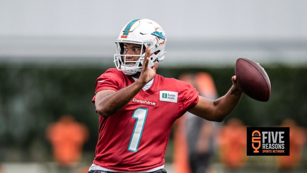 These Miami Dolphins FEEL Different, Plus Remembering the 1972 Phins ...