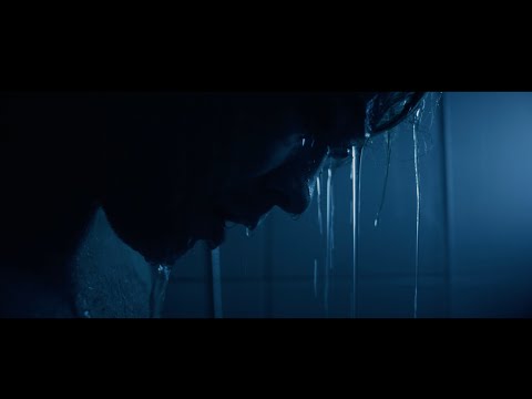 Electrobirds - Листівки [Official video]