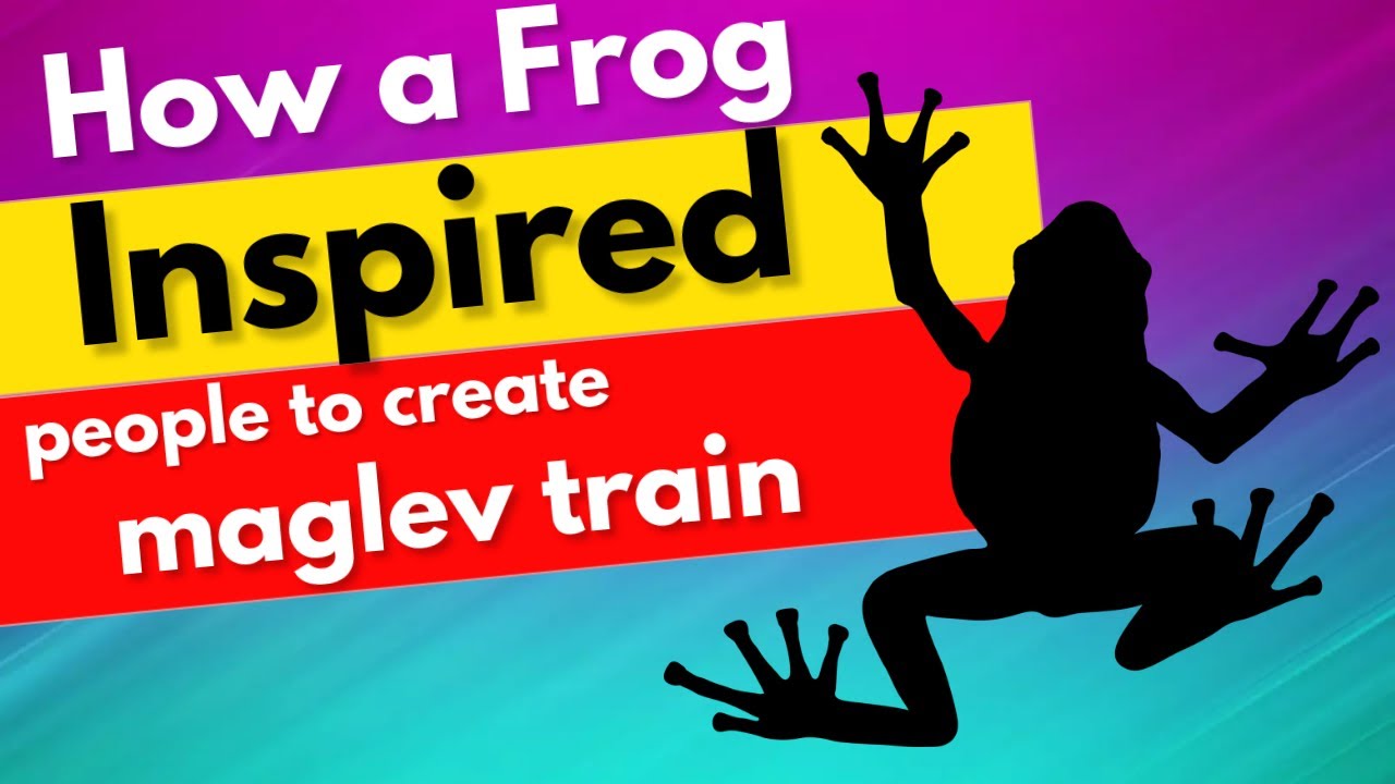 How does a frog inspire people to create the fastest train? - YouTube