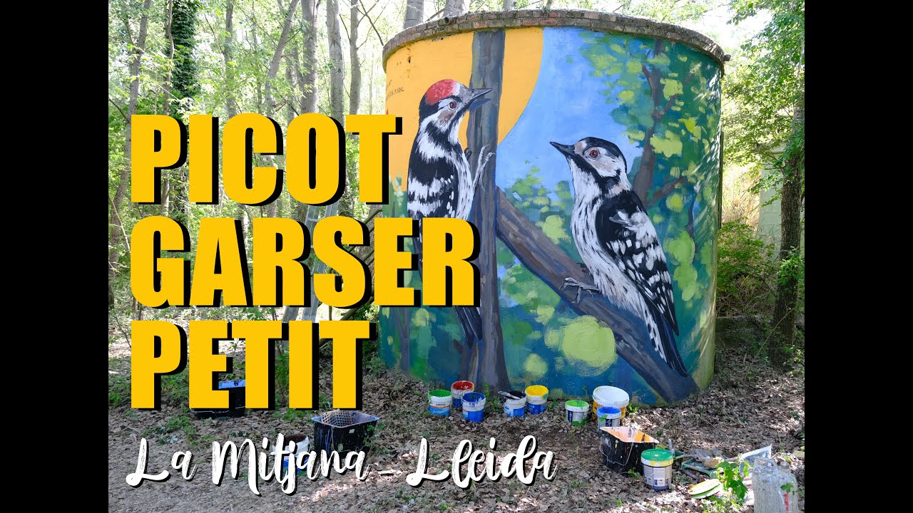 PICOT GARSER PETIT - Enciclopèdia Mural a la Mitjana (Lleida) - YouTube