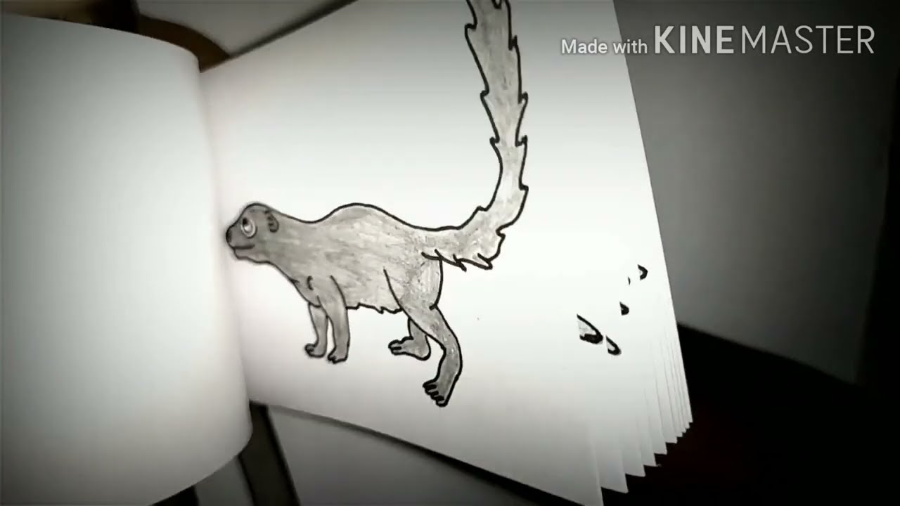 Flip book on Human Evolution #human_evolution #human_civilisation - YouTube