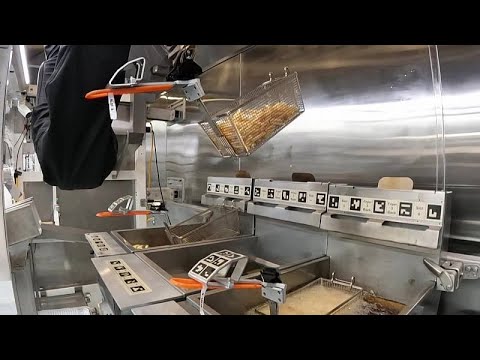 Could 'Flippy 2' the French fries-cooking robot take humans out of the ...